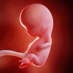 Semana 10 de embarazo: cambios, síntomas y consejos