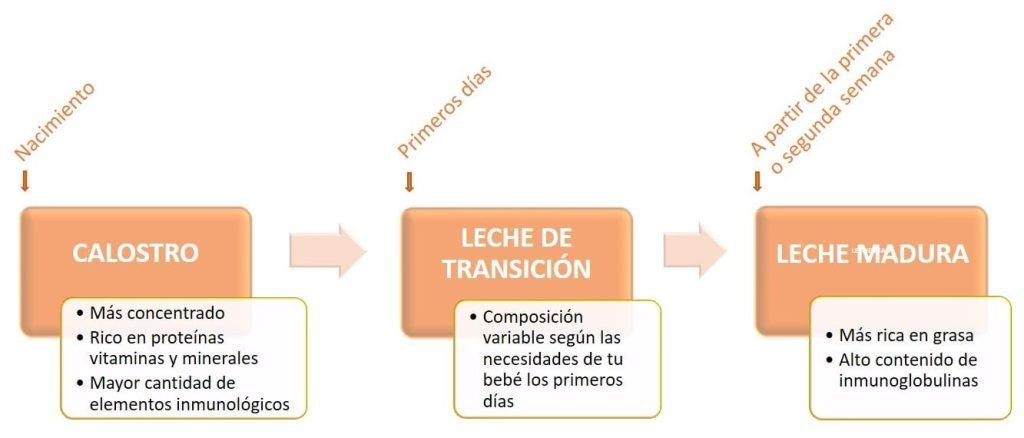 Lactancia materna: consejos y preguntas frecuentes